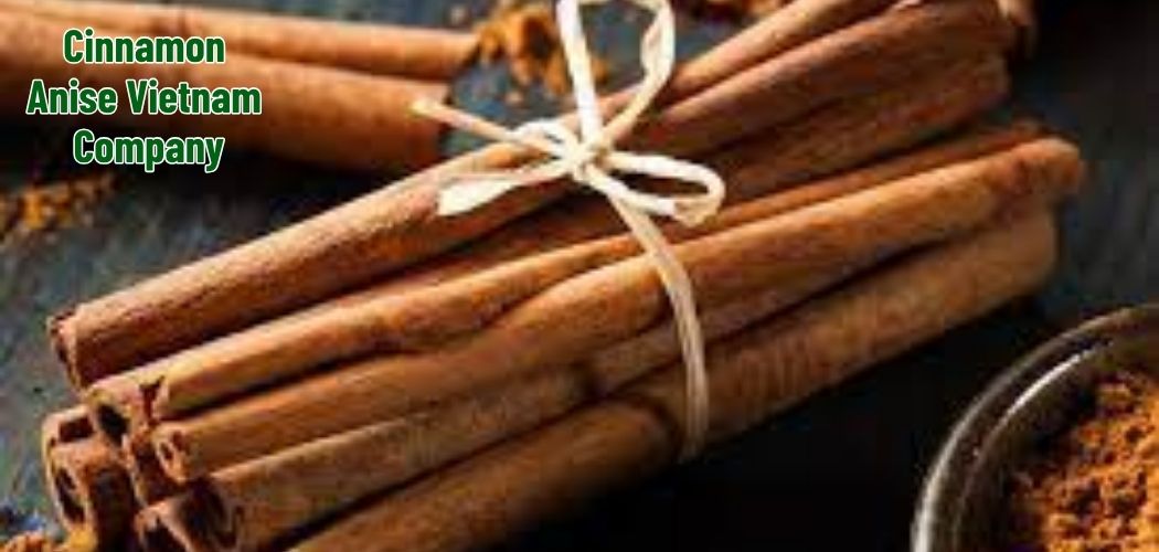 Contact Us – Partner with Vietnam’s Leading Spice Exporter - Cinnamon ...